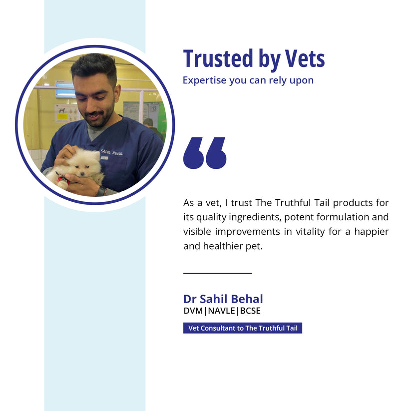 Gut Health Supplement For Dogs 150g – The Truthful Tail